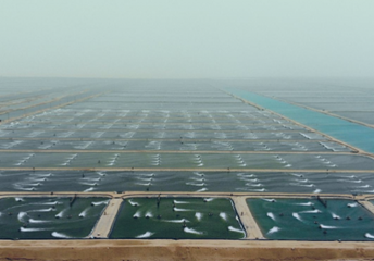 NAQUA - Megasupply del Ecuador